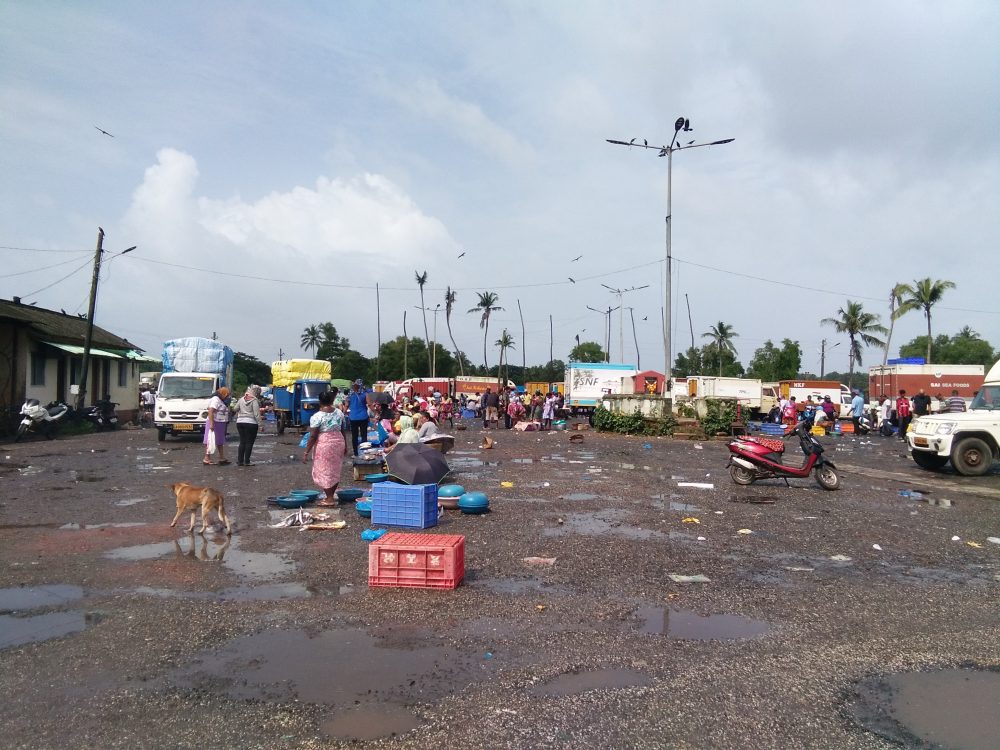 Wholesale Fish Market, Margao - GoGoaNow ! Goa Events