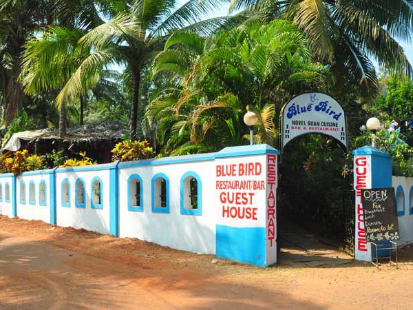 Blue Bird - GoGoaNow ! Goa Events
