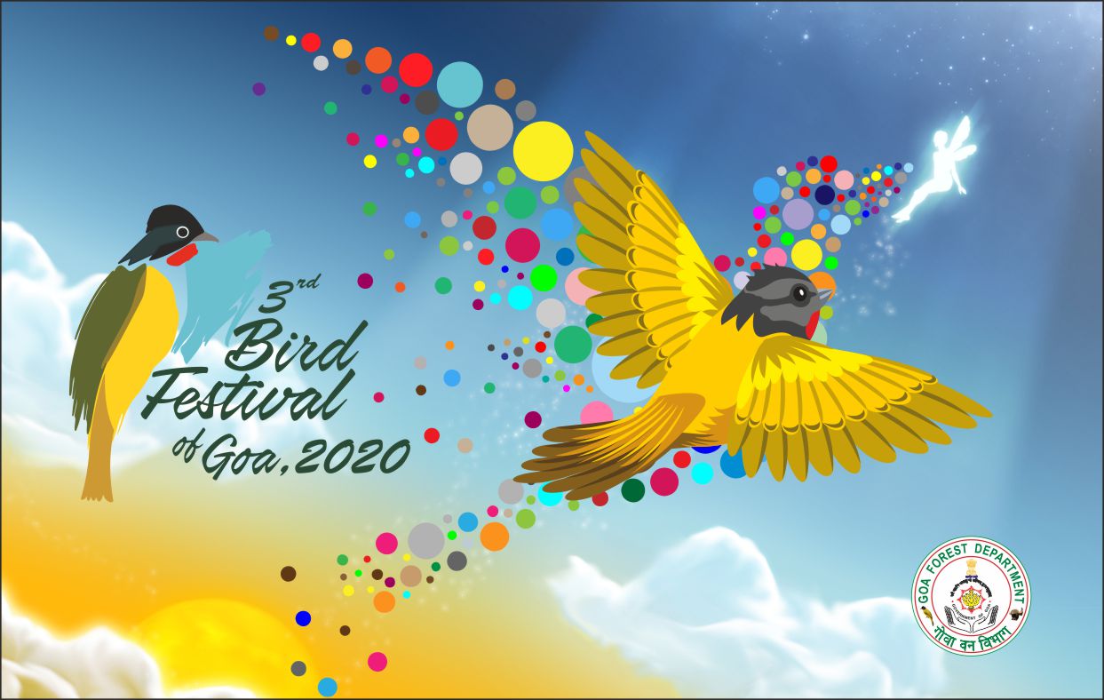 Experience the beauty of birds - GoGoaNow ! Goa Events